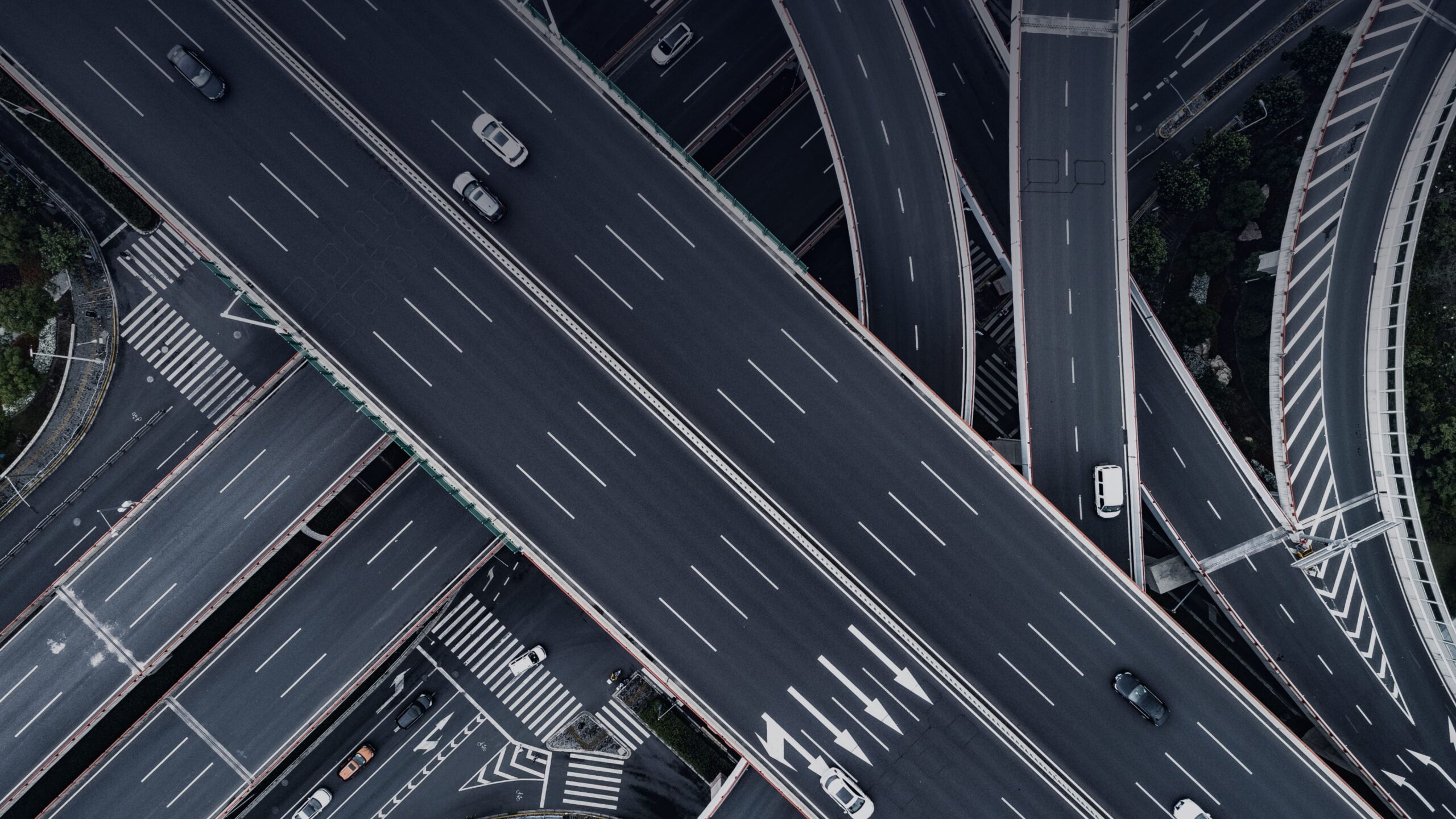 Freight Logistics Software Development Services | Trinetix