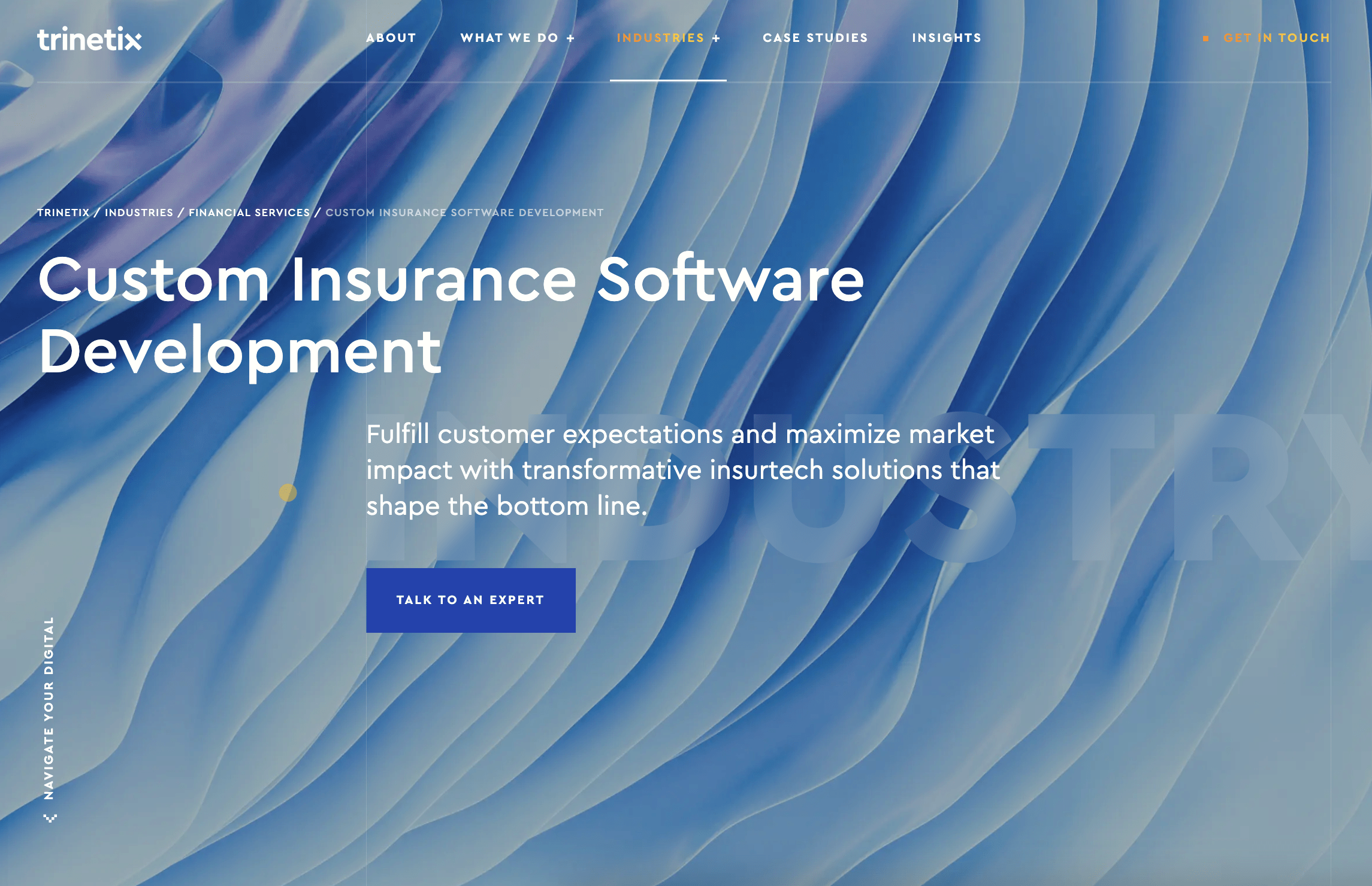 Custom Accounting Software Development Services